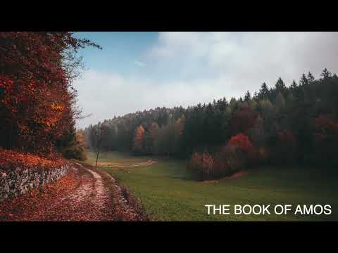 The Book of Amos (Audio Bible) - The Bible Experience