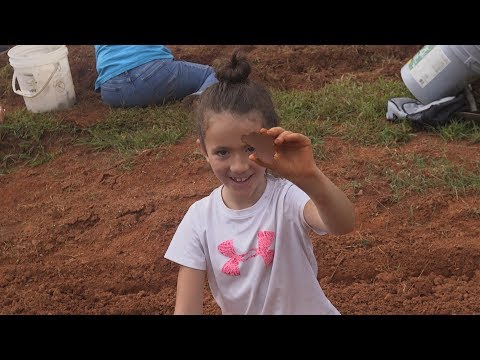 Doc’s Rocks Gem Mine