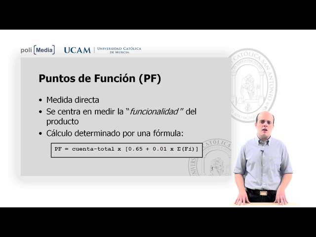 Understanding Software Metrics: Size and Functionality in Software ...