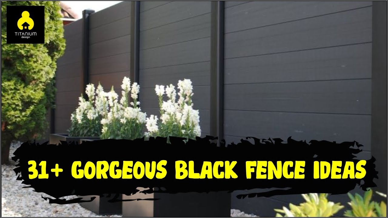 TOP 31+ Gorgeous Black Fence Ideas and Designs