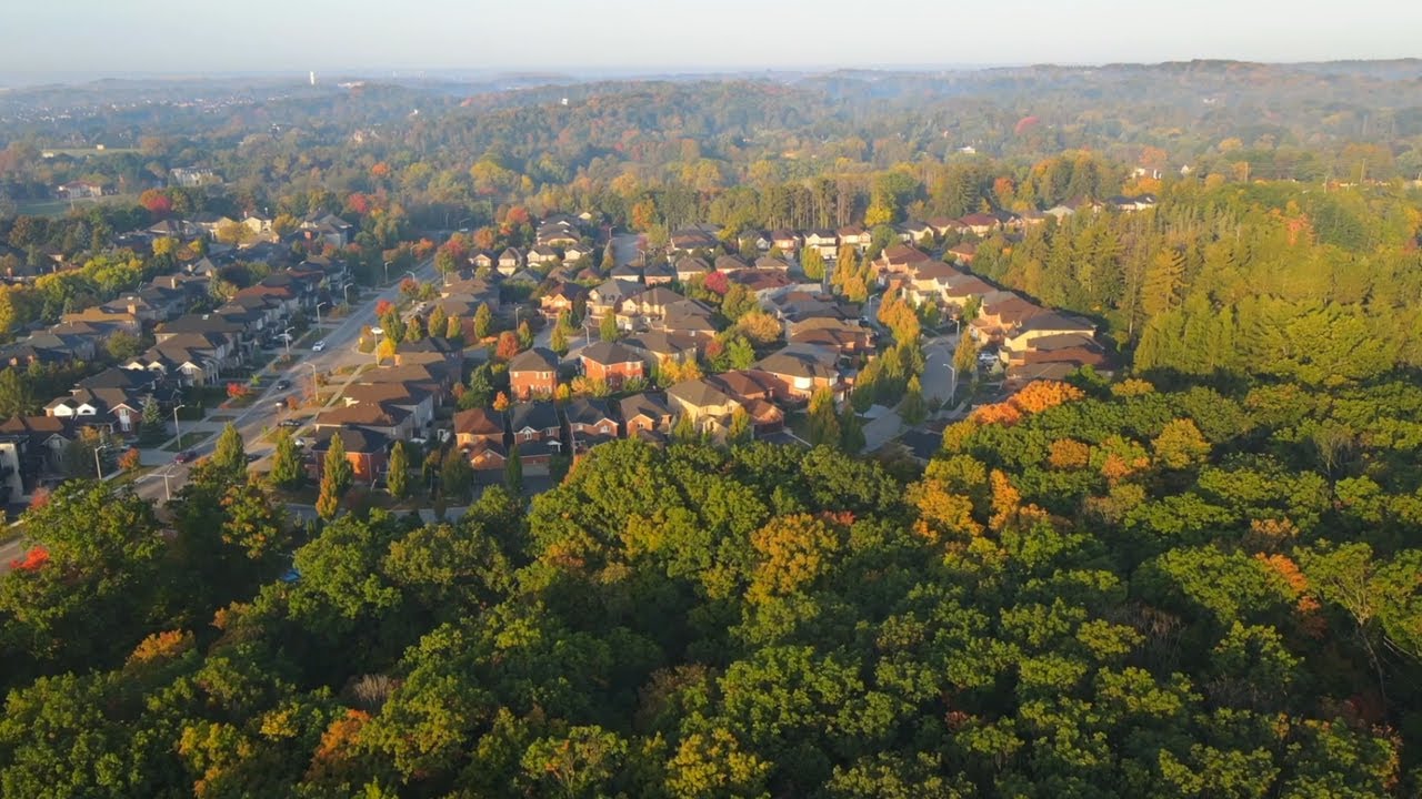 Benefits of the Urban Forest