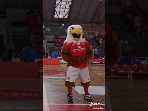 A aguia do Benfica a dancar