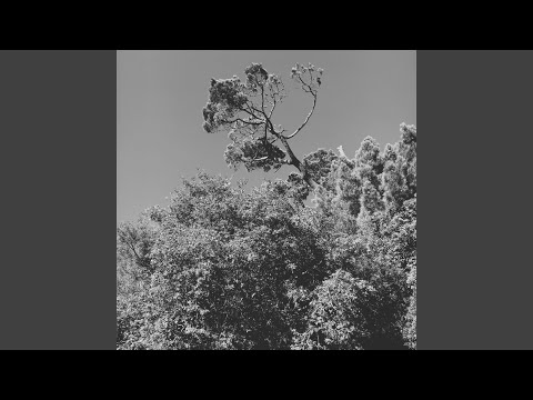 Majestic Moods for Afternoon Relaxation