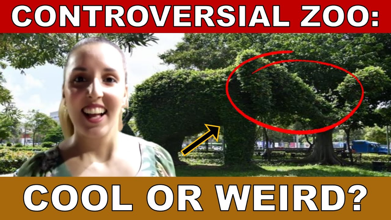 Walking Tour: MOST CONTROVERSIAL park in Santo Domingo: Zooberto!