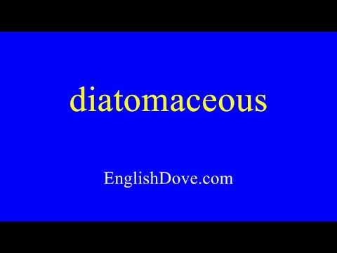 How to pronounce diatomaceous in American English