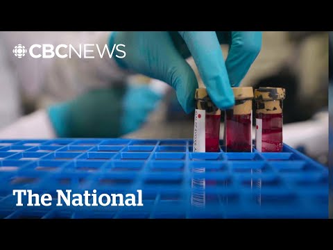 $2,100 cancer blood test is now available in Canada – but is it effective?