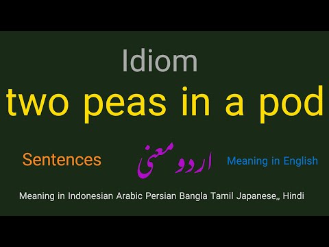 | Idiom | two peas in a pod Meaning in Urdu | Meaning in English | English vocabulary |
