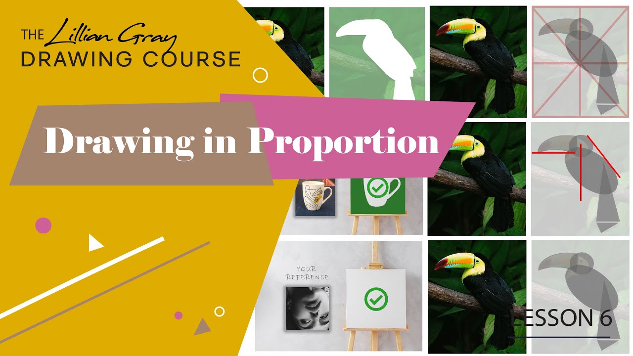 Drawing Course by Lillian Gray Lesson 6 - Drawing in Proportion