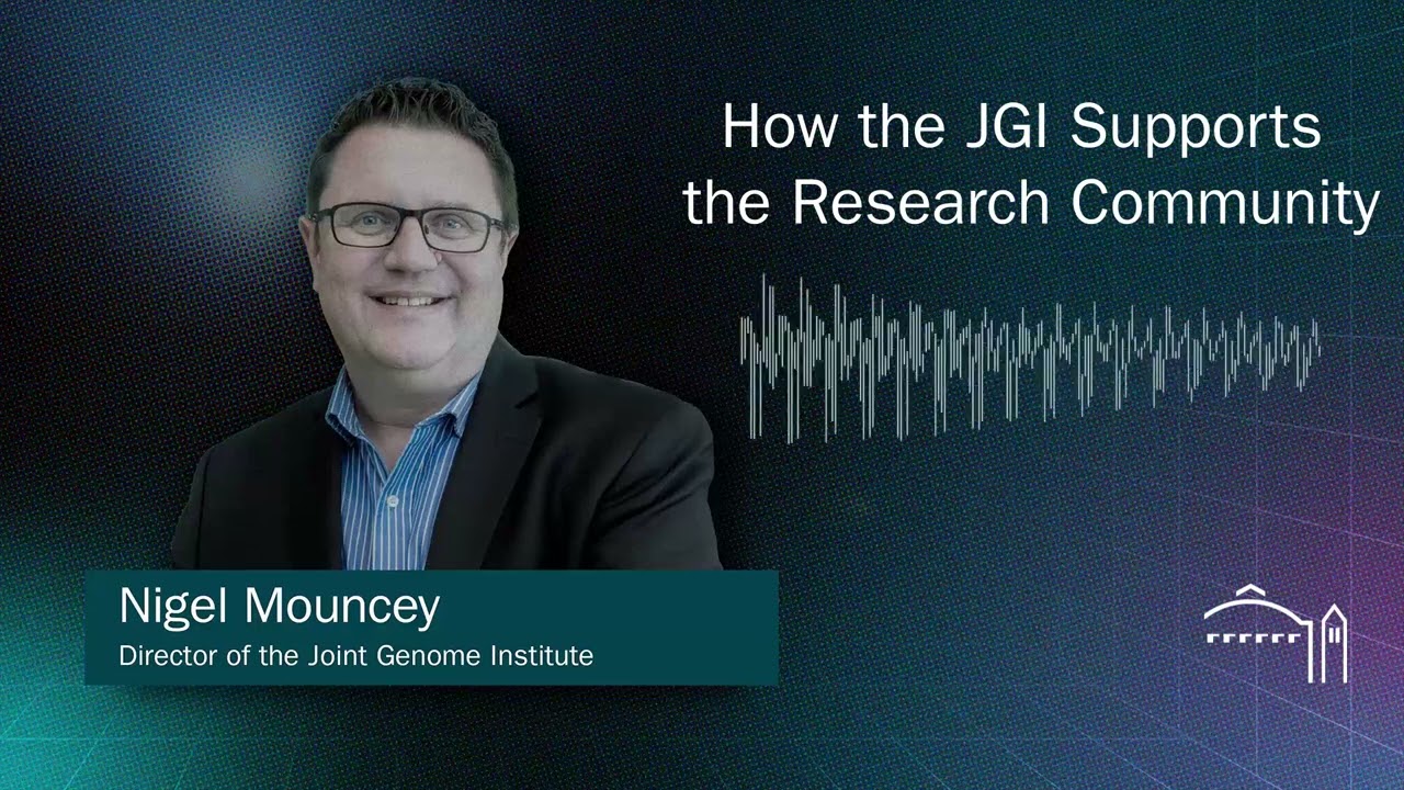 Expert Interview: Nigel Mouncey
