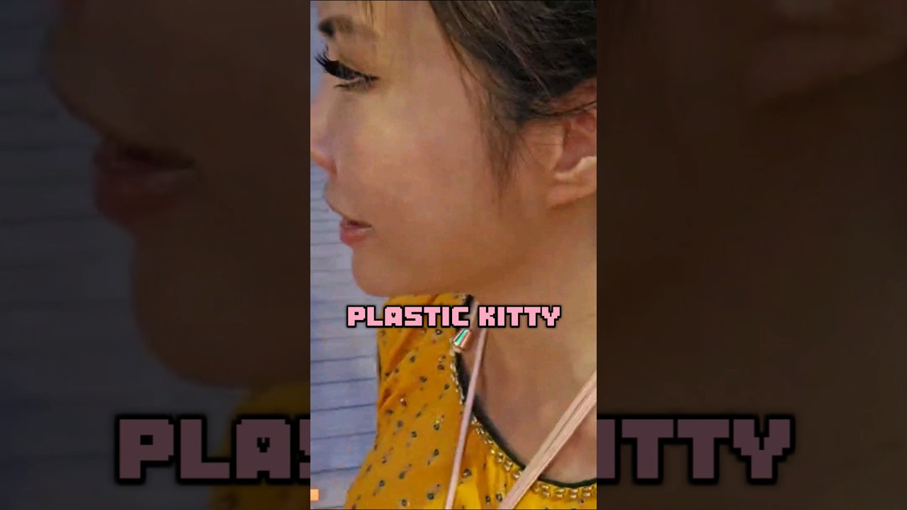Stop calling me plastic kitty 😤