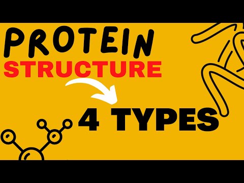 Protein Structure - Primary - Secondary - Tertiary - Quaternary - Structure of Protein