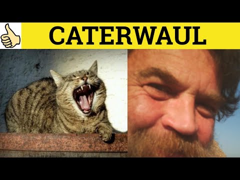 Caterwaul Caterwauling - Caterwaul Meaning - Caterwauling Examples - Caterwaul Definition