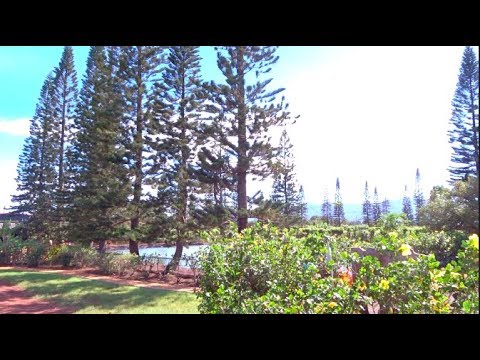 Road Trip Down the Kamehameha Highway | Minimalist Travel
