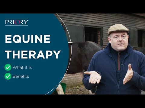 Equine Therapy | How it Works, Benefits and What to Expect