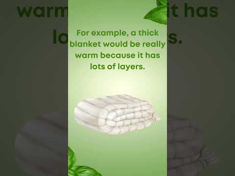 Thick and Thin-Definition/Difference-For Prep-Kindergarten