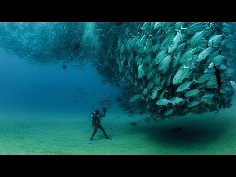 World's Most amazing Photos of All Time | Most Powerful Photos