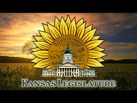 Senate Committee on Ways and Means 02/21/2023
