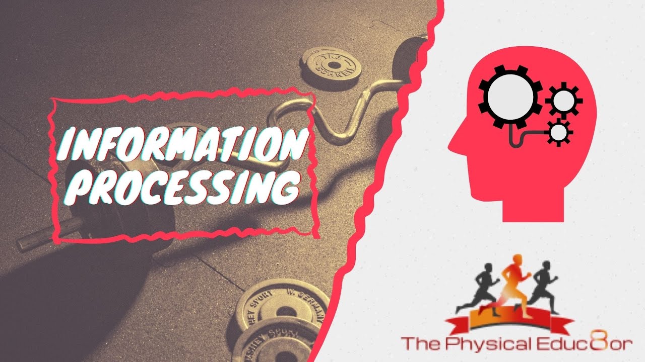 Physical Educ8or: IB SEHS: Skill: Information Processing