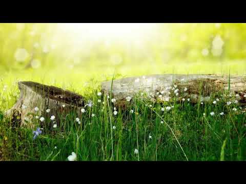 The Whole Other - Nitpicky Picnic (Country & Folk)