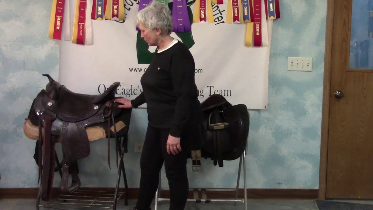 Difference between english and Western saddles #saddles #western #jumping
