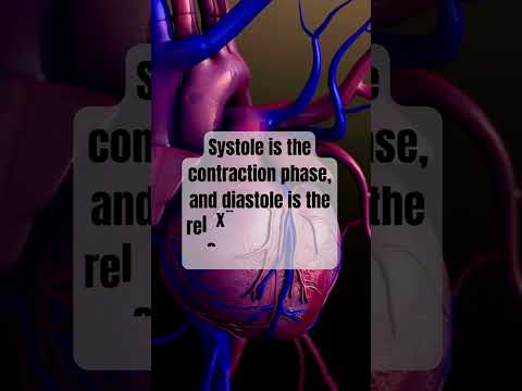 What is the difference between systole and diastole?