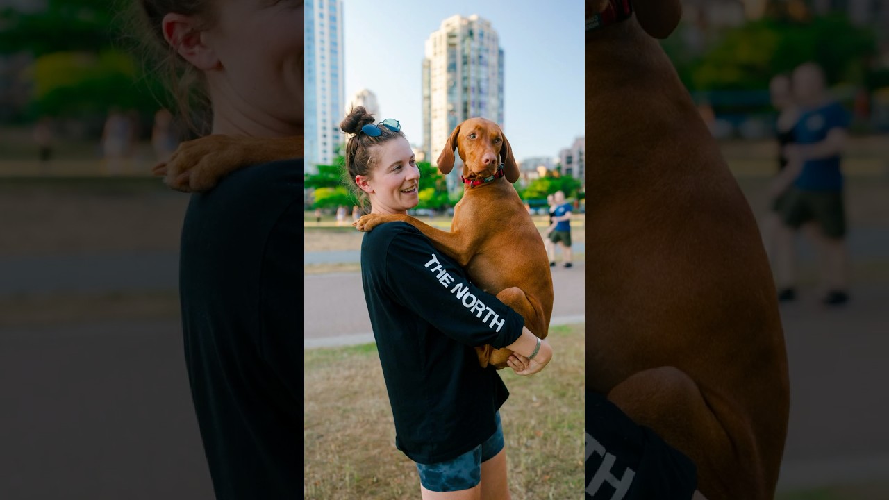 They even look alike! 🥹 #streetportraits #dogphotography