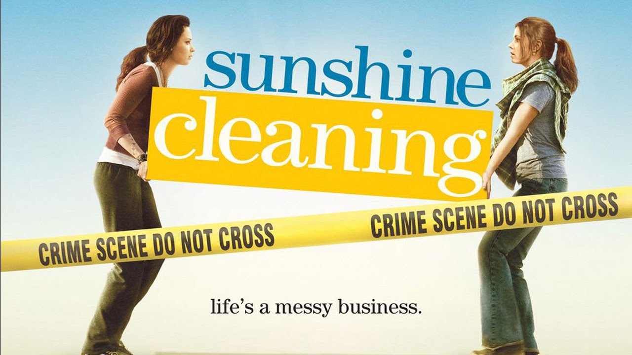Sunshine Cleaning Blu ray Review