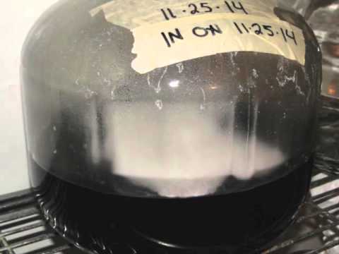 How to make Ambrosia - Video Tutorial