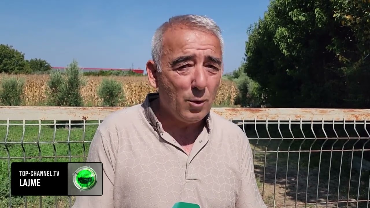 Top Channel/ Sezon i mbarë për perimet, fermerët në Frakull: Vit i ... Top Channel/ Sezon i mbarë për perimet, fermerët në Frakull: Vit i ...