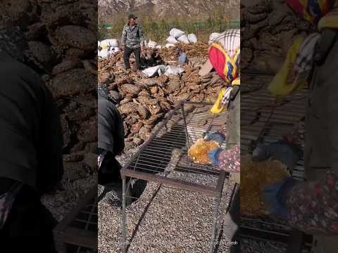 Sunflower seed dehulling