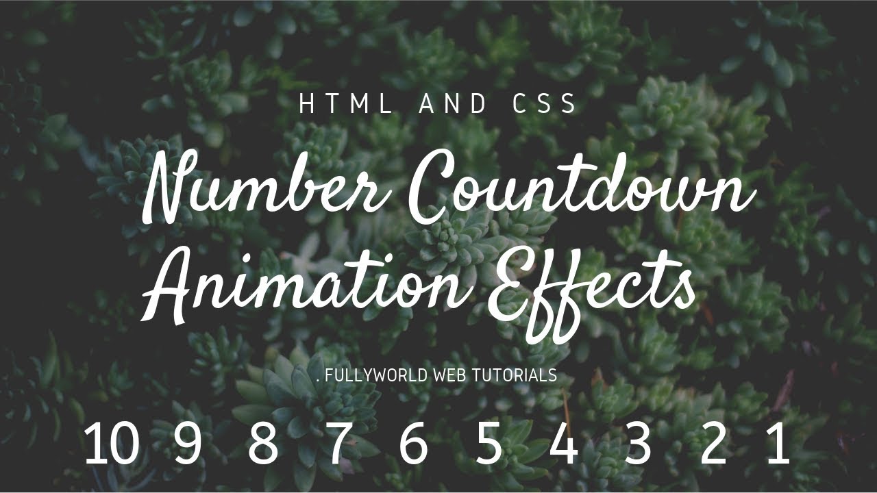 CSS Number Countdown Animation Effects | HTML And CSS Tutorials