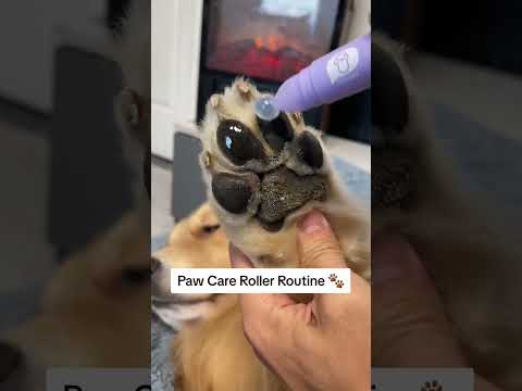 Paw Care Roller 🐾 #dogs #pawcare #dogproducts #dogsofyoutube