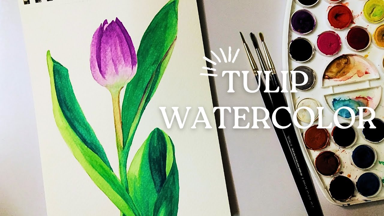 Tulip Flower Drawing Watercolor
