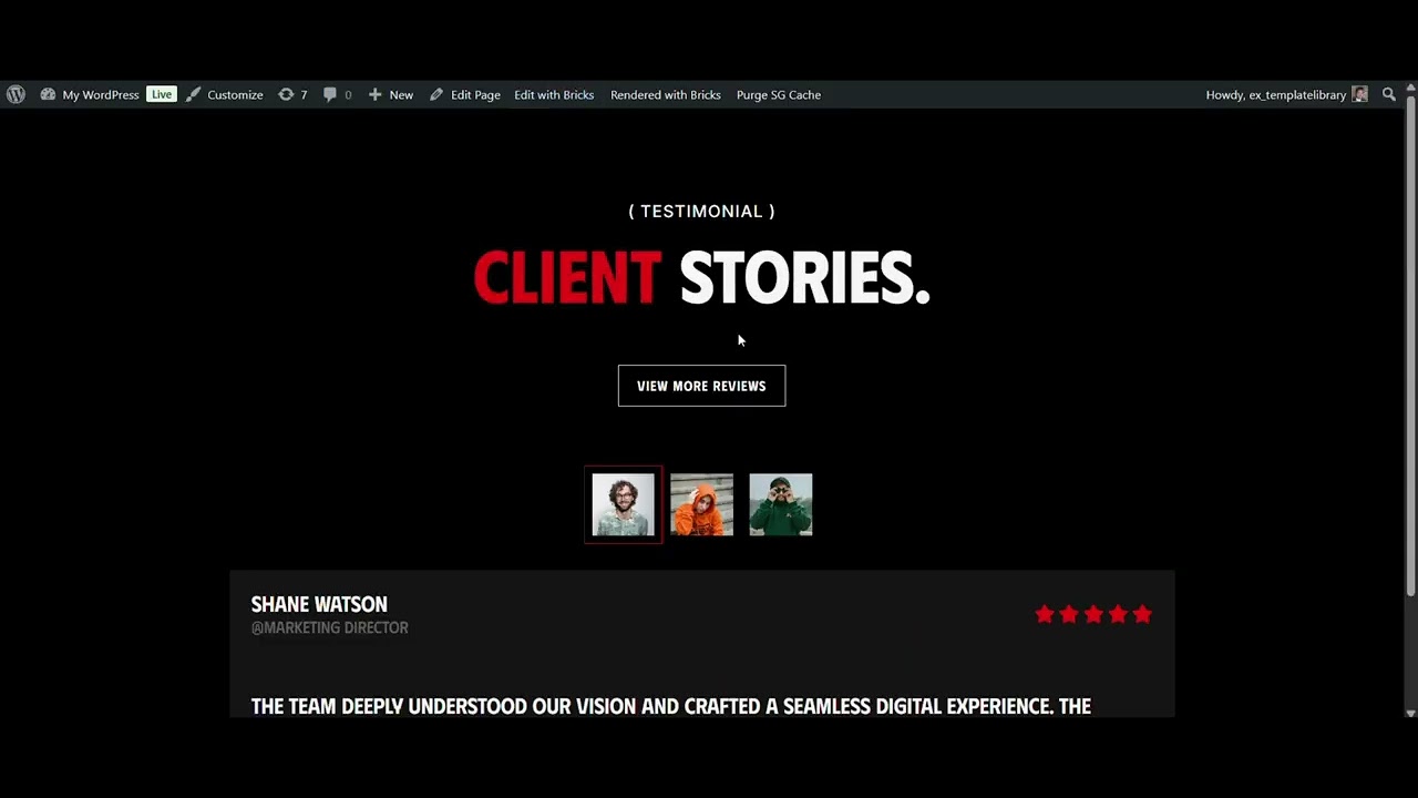 Bricks-Component - Testimonial 002