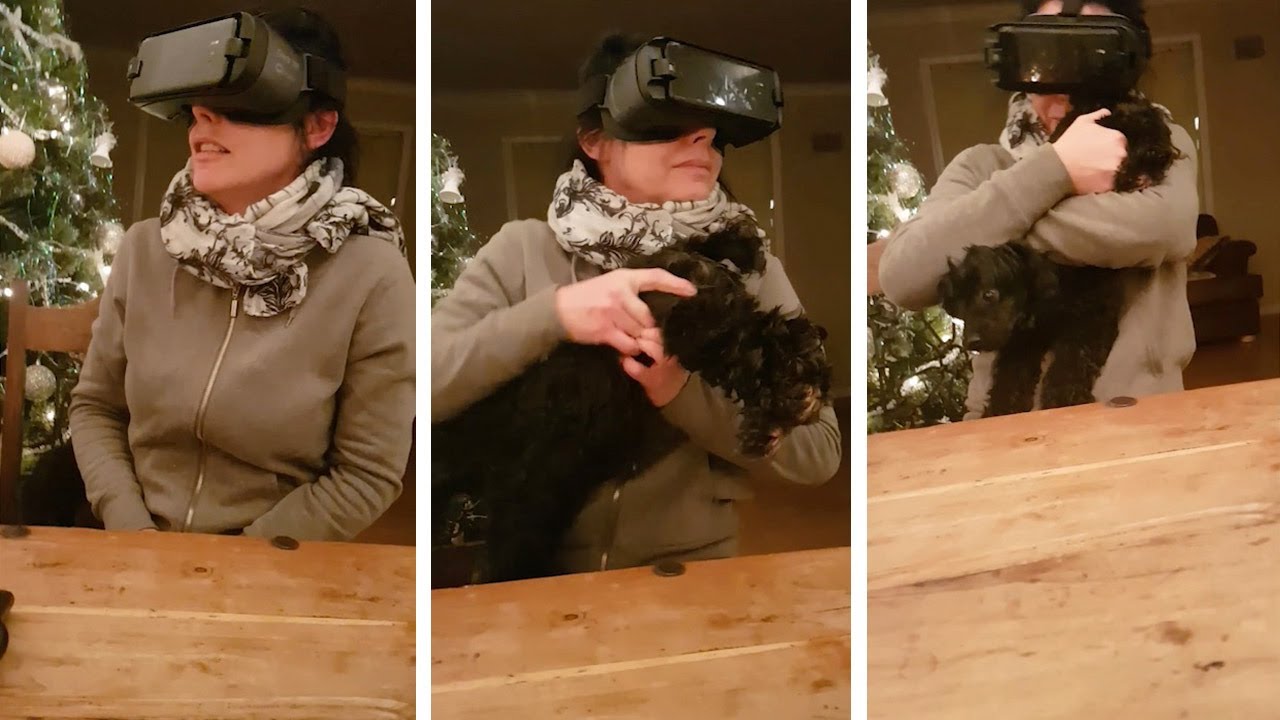 Mum Grabs Dogs Butt While Using VR Headset