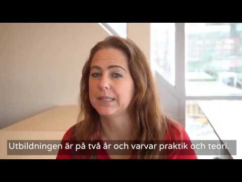 Vill du arbeta som redovisningsekonom?