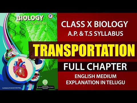 #Transportation Full chapter |10th class biology (N.S) chapter 3| AP & TS syllabus E.M @EDUSCOPE ​