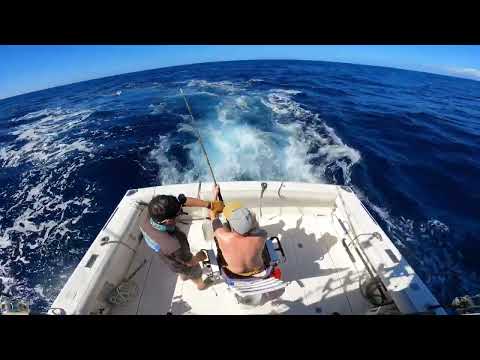 Whipsaw Sportfishing 2024 Compilation #1