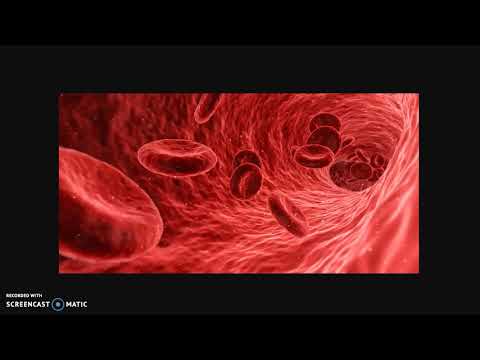 Med Term Blood Lecture