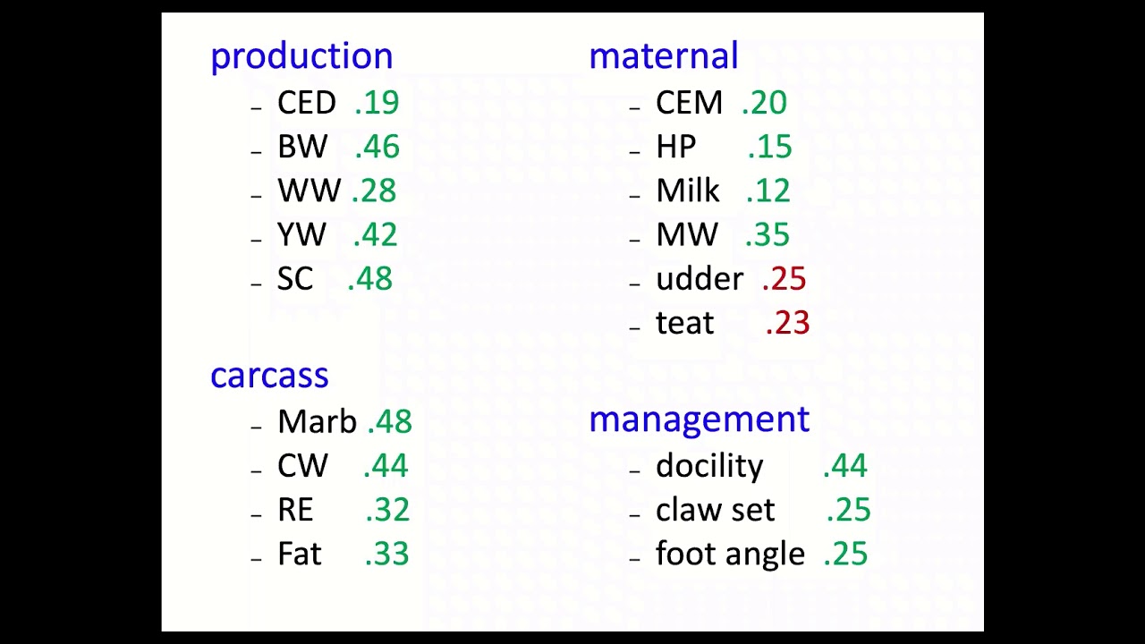 Using EPDs and Genetic Testing in Beef Cattle Selection