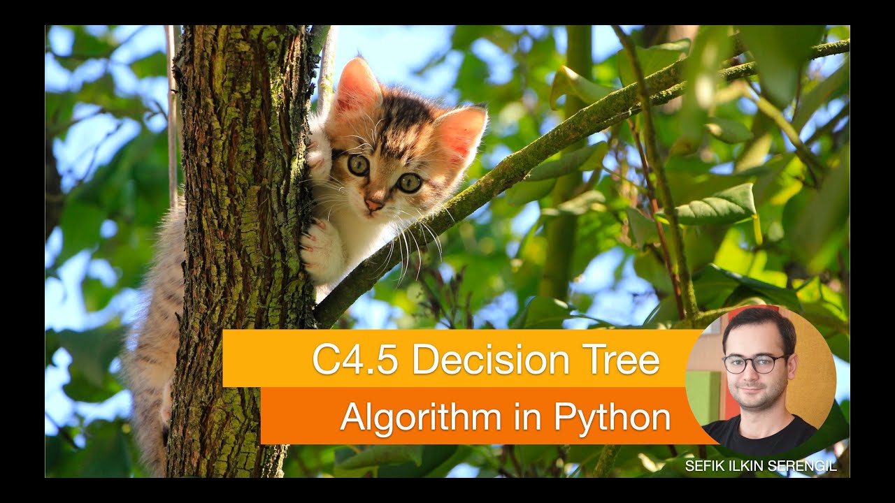 C4.5 Decision Tree Algorithm in Python