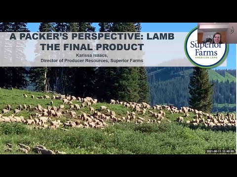 A Packer's Perspective: Lamb the Final Product