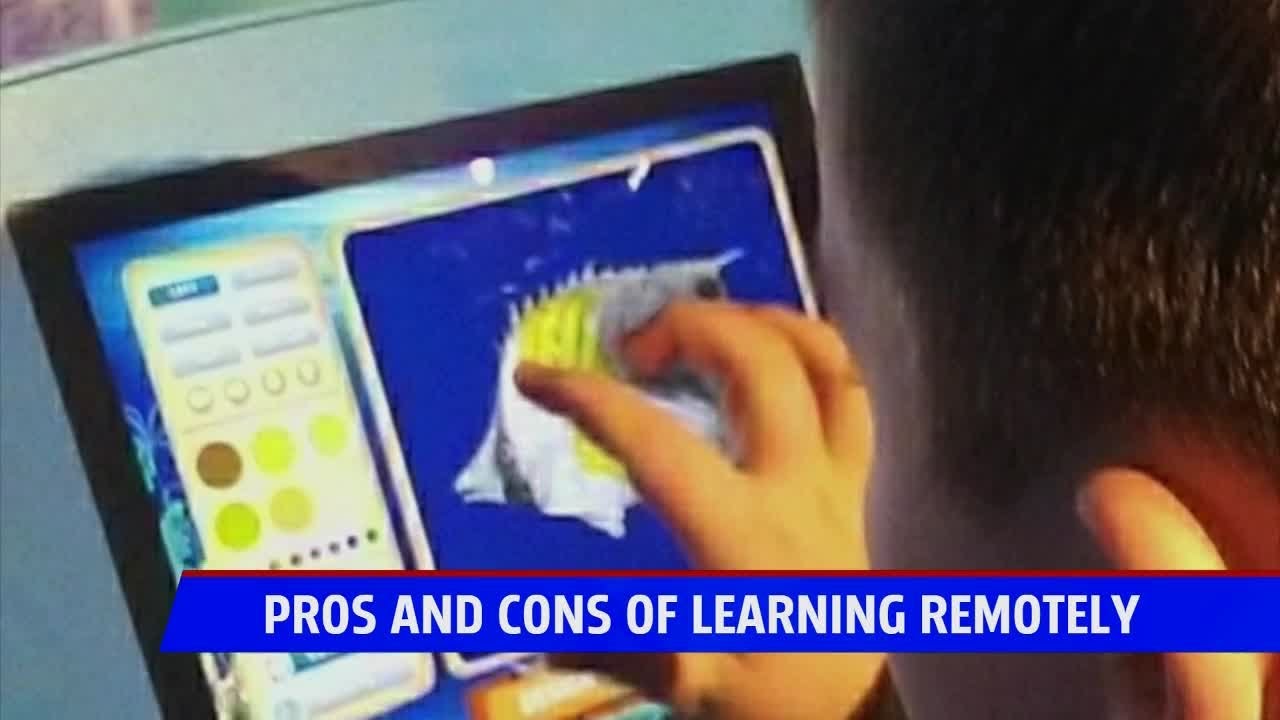 EFFECTIVENESS OF ONLINE LEARNING