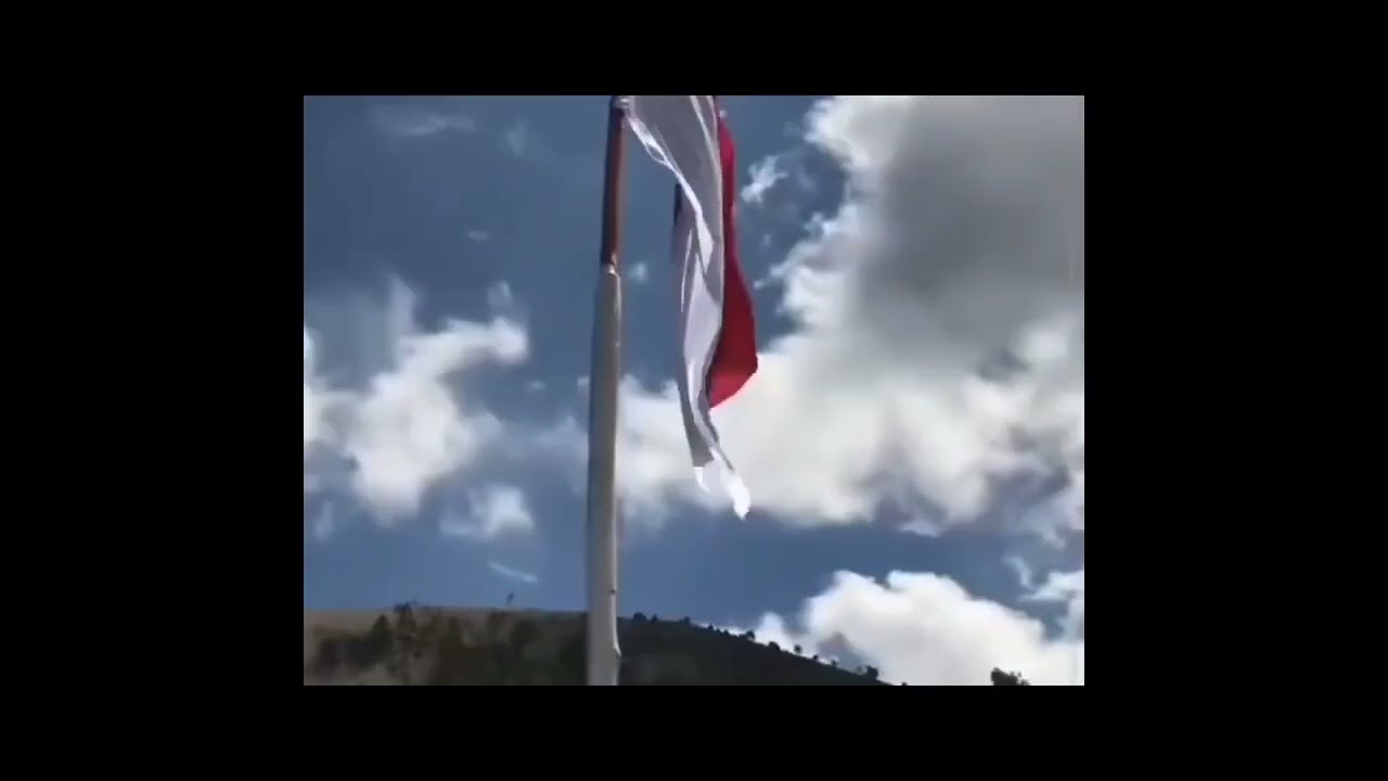 Progress Test 1 - Introduction