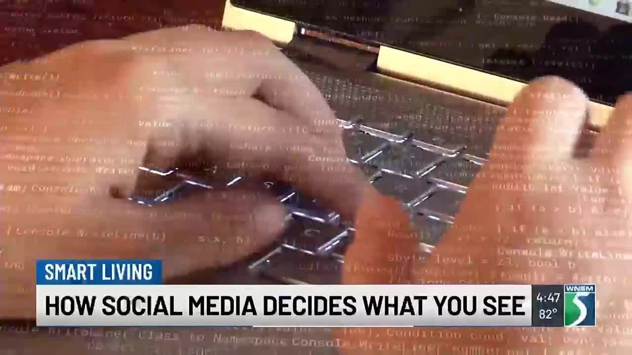 The Algorithm Effect: How social media decides what you see