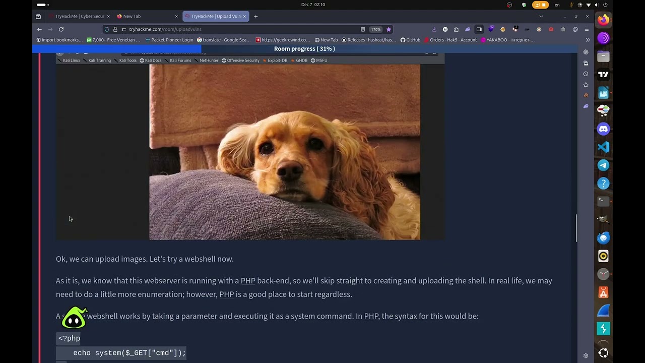 Upload Vulnerabilities TryHackMe WalkThrough Tasks 1-7