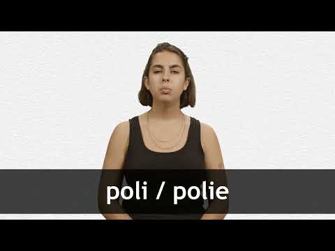 English Translation of “POLI” | Collins French-English Dictionary