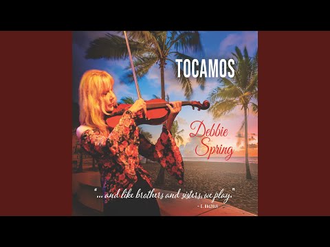 DEBBIE SPRING discography (top albums) and reviews