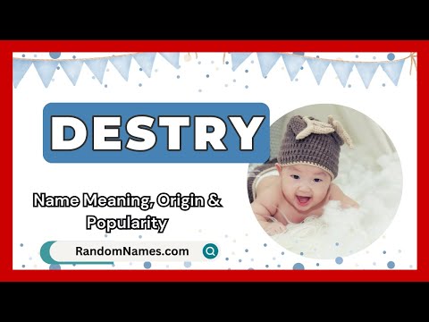 Destry - Baby Boy Name Meaning, Origin & Popularity - RandomNames.com