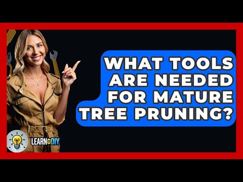 What Tools Are Needed For Mature Tree Pruning? - LearnToDIY360.com